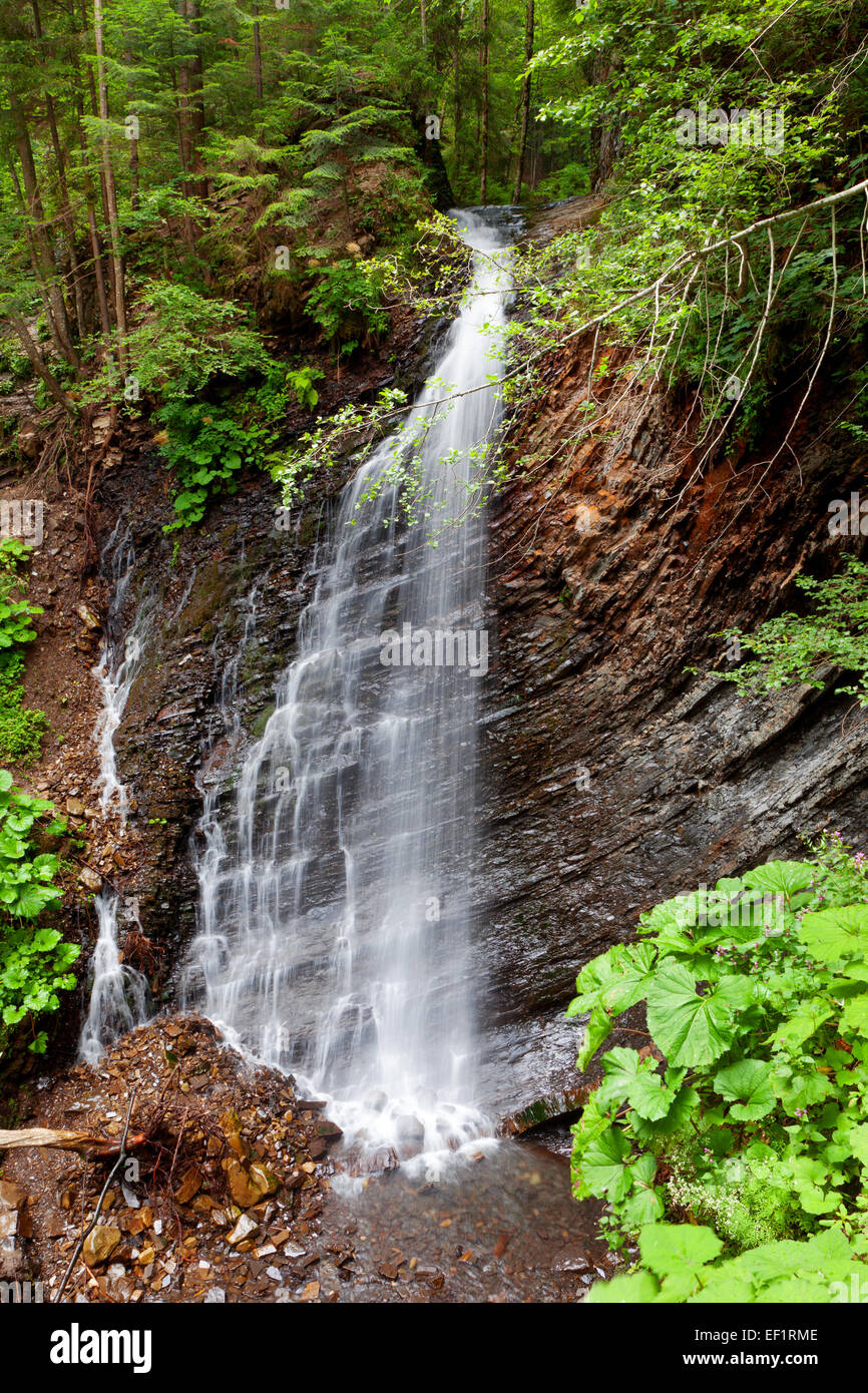 Stream waterfall in mountain forest hi-res stock photography and images ...