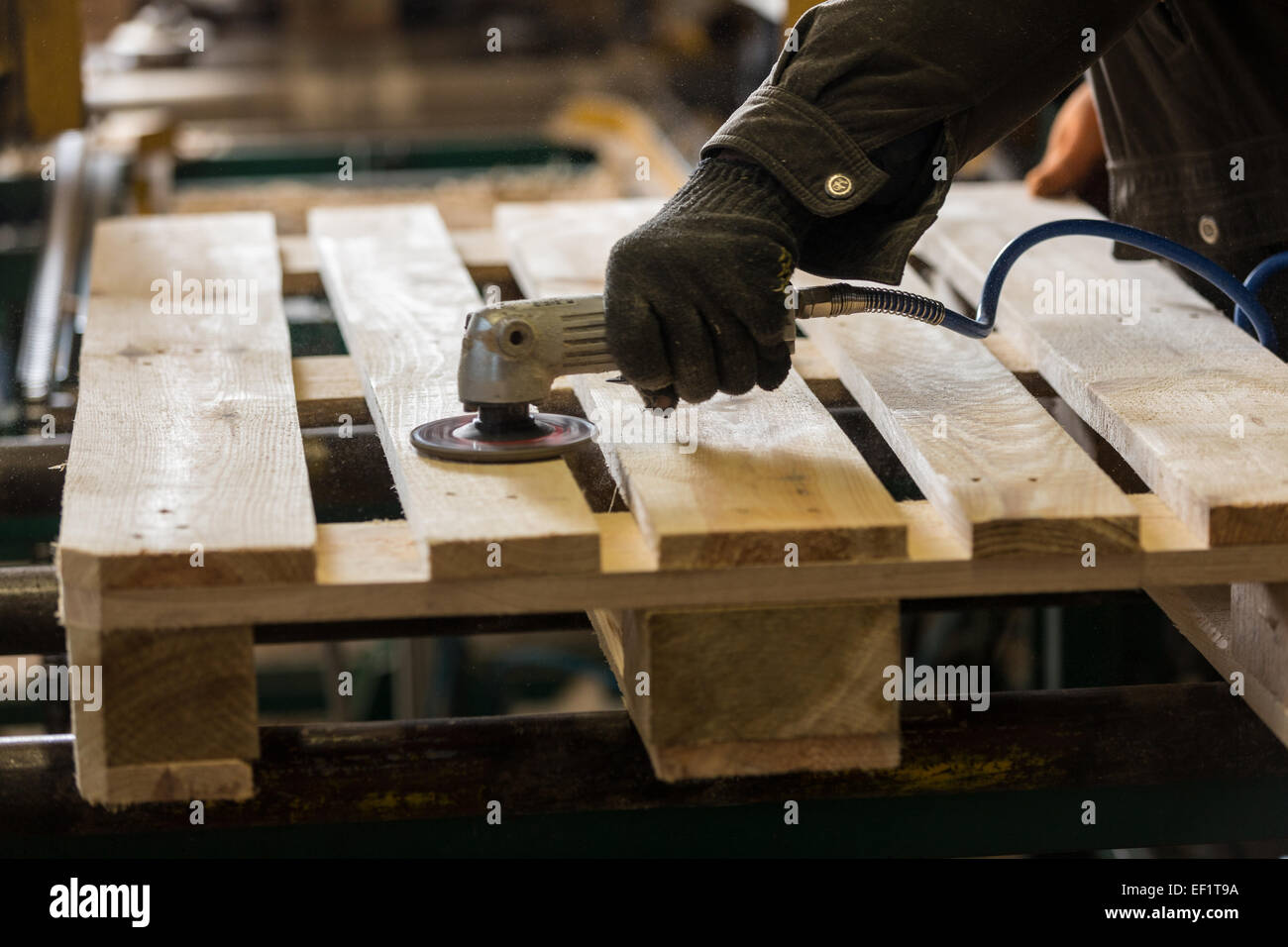 Polishing of wooden pallet on a production line Stock Photo - Alamy
