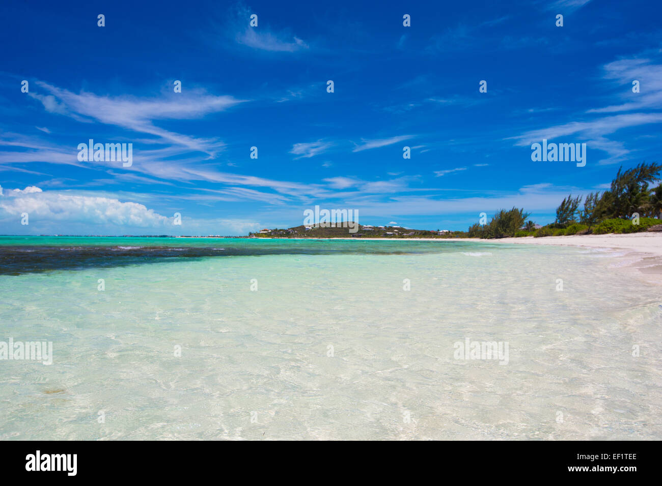 Perfect white beach in the Caribbean Stock Photo - Alamy