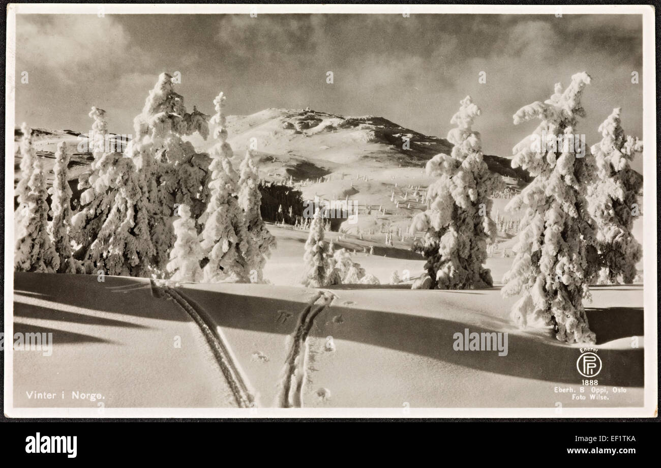 This 1888 photograph by Anders Beer Wilse captures a winter scene in ...
