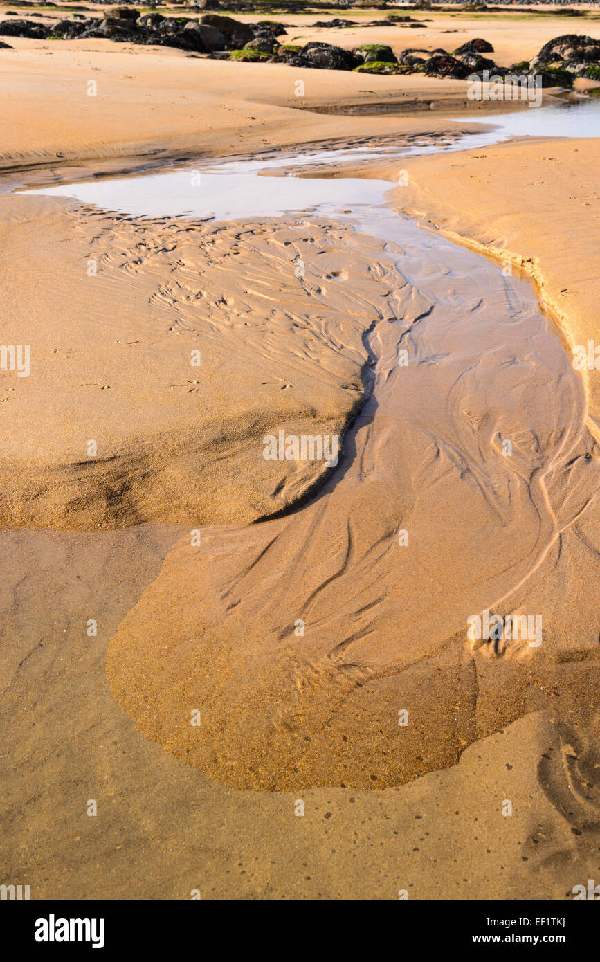 Sand erosion on the beach at Embleton Bay, Northumberland, England ...