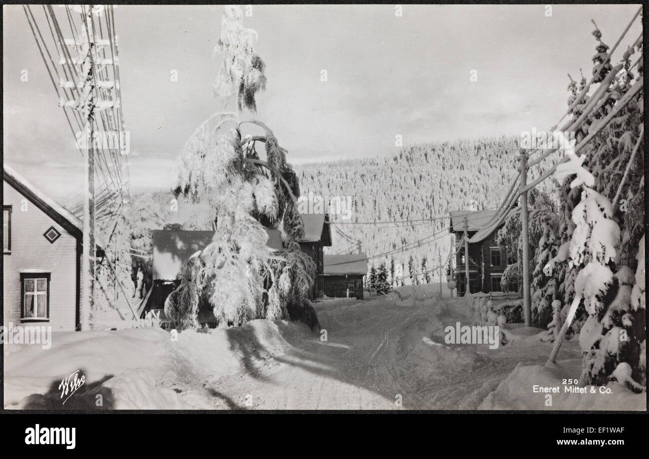 The photograph Vinter i Norge (Winter in Norway) by Anders Beer Wilse ...