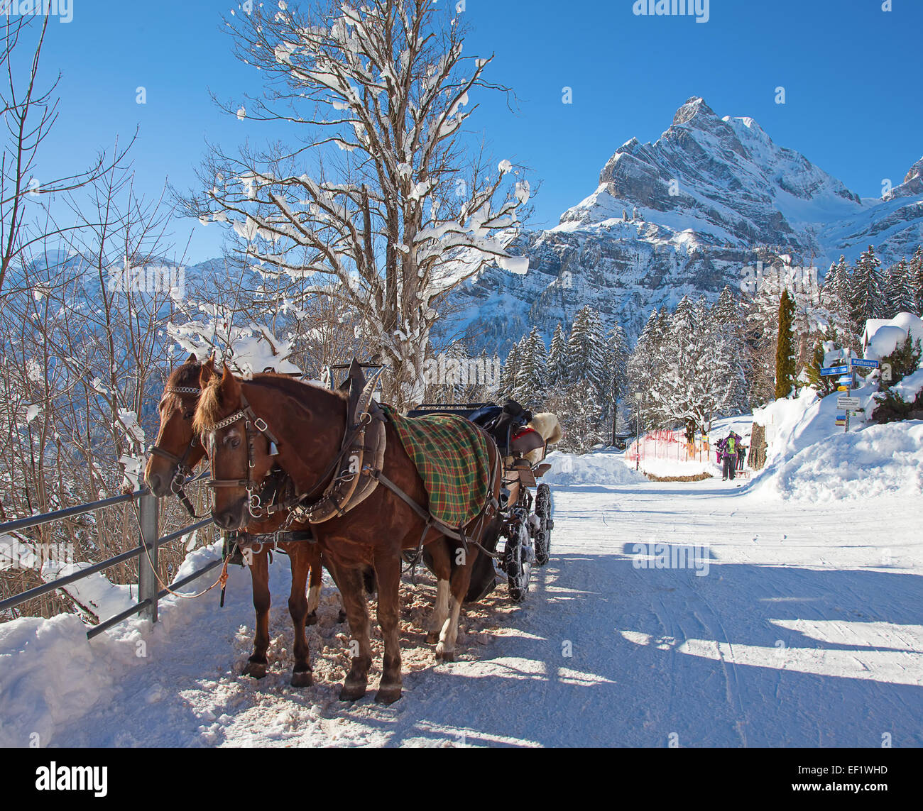 Winter in the swiss alps, Switzerland Stock Photo - Alamy