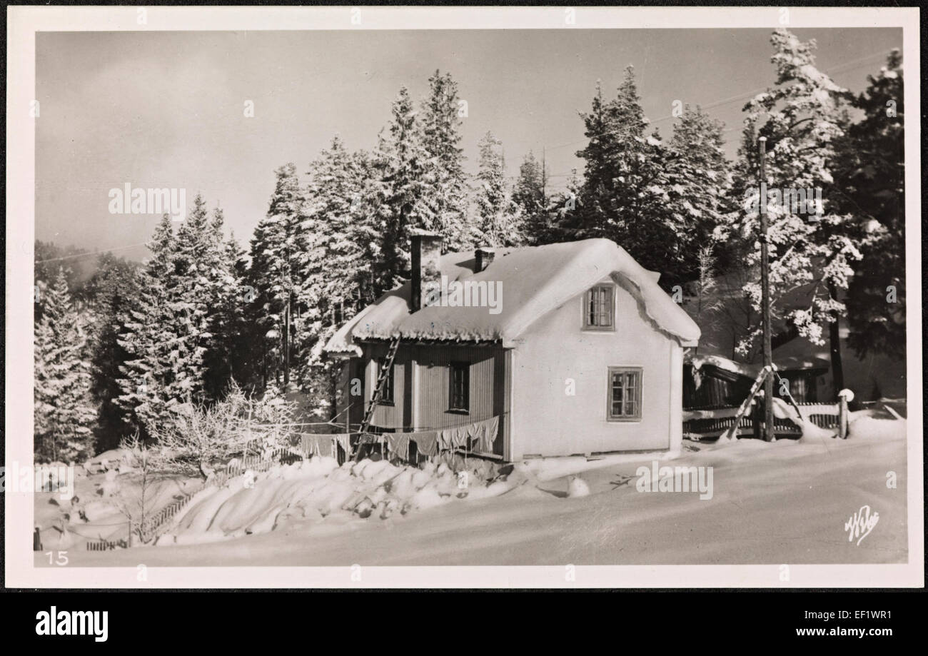 A winter scene in Norway, captured by Anders Beer Wilse, depicting snow ...