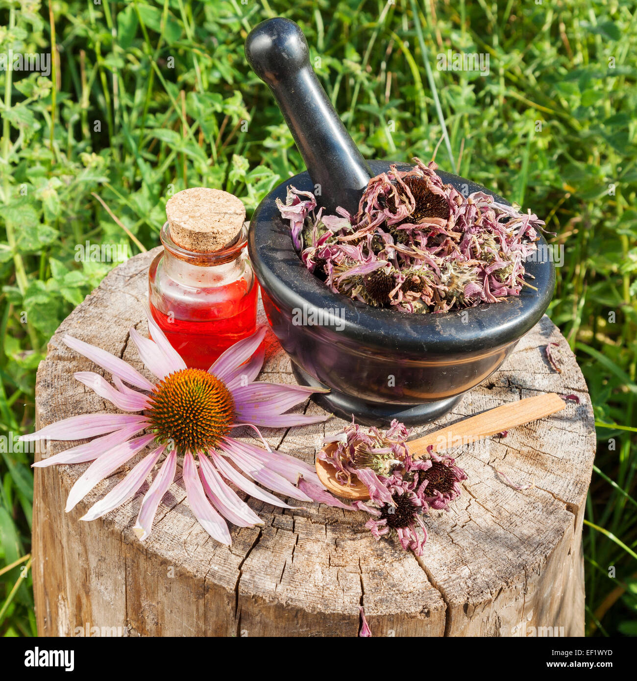 Dried mortar hi-res stock photography and images - Alamy