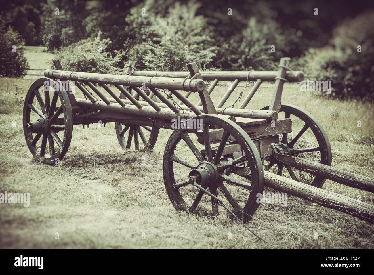 old wooden cart on field, vintage stylized photo Stock Photo - Alamy