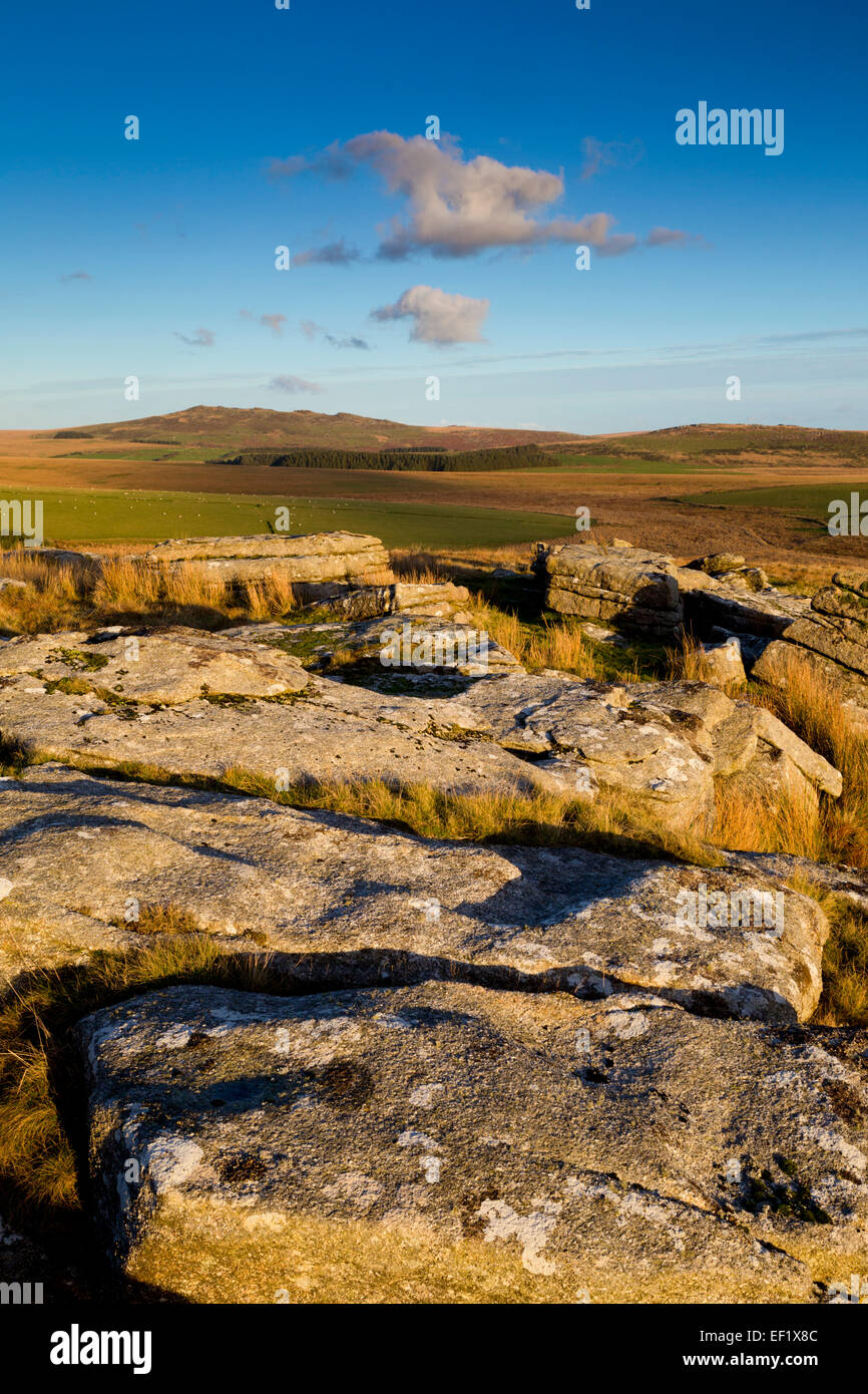 Brown Willy From Alex Tor Bodmin Moor; Cornwall; UK Stock Photo - Alamy