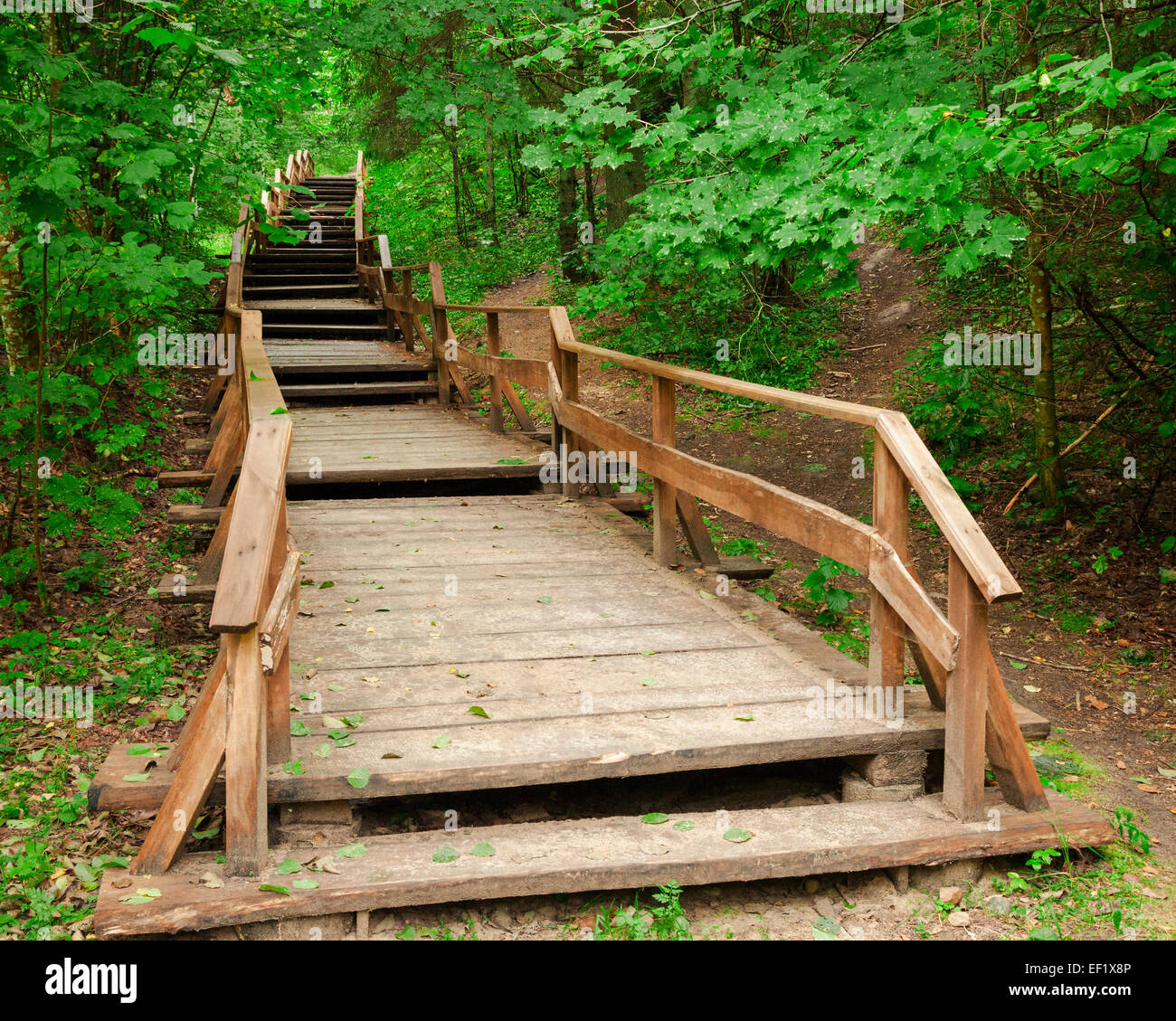 Pathway through nature reserve hi-res stock photography and images - Alamy