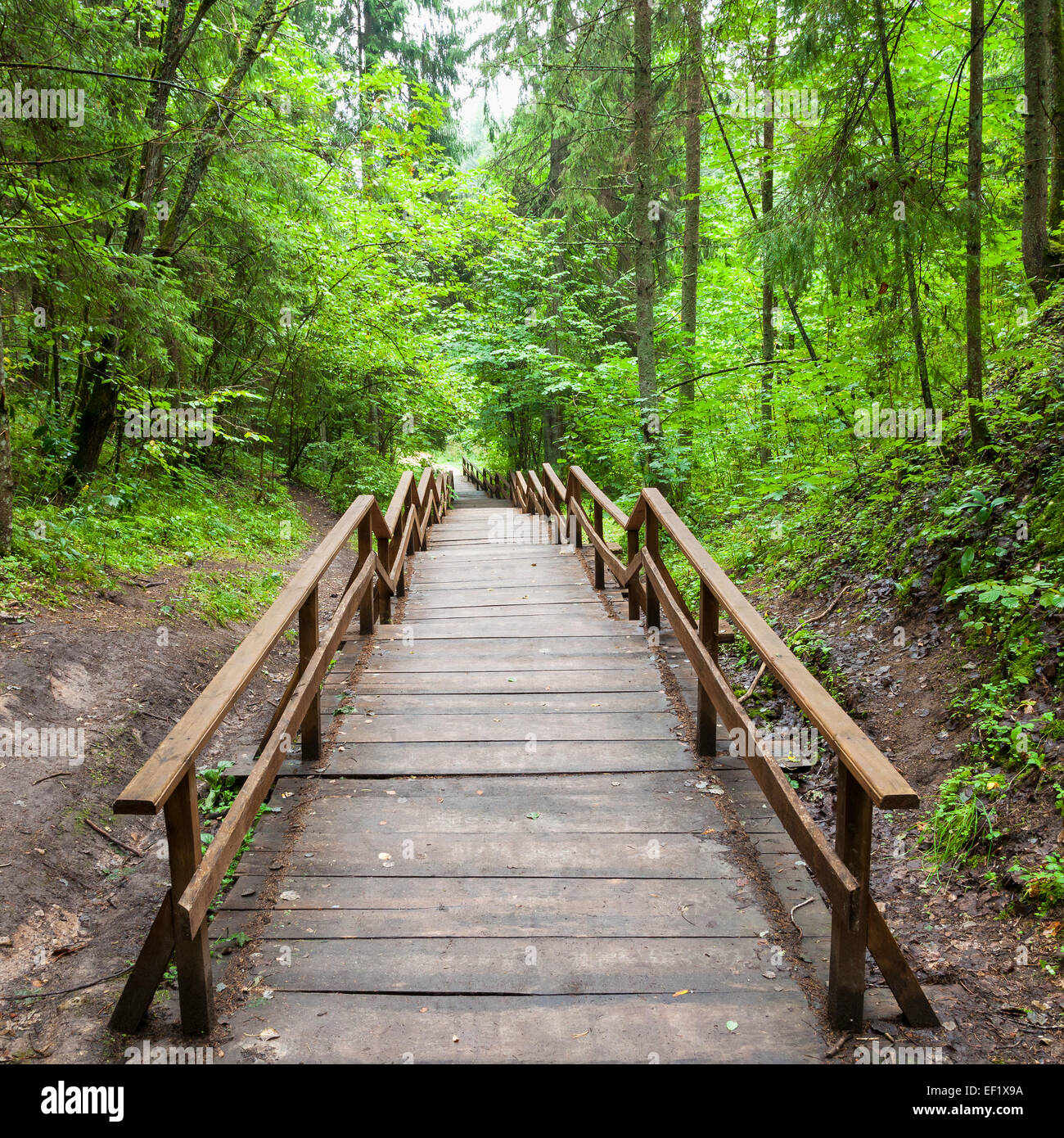 Pathway through nature reserve hi-res stock photography and images - Alamy