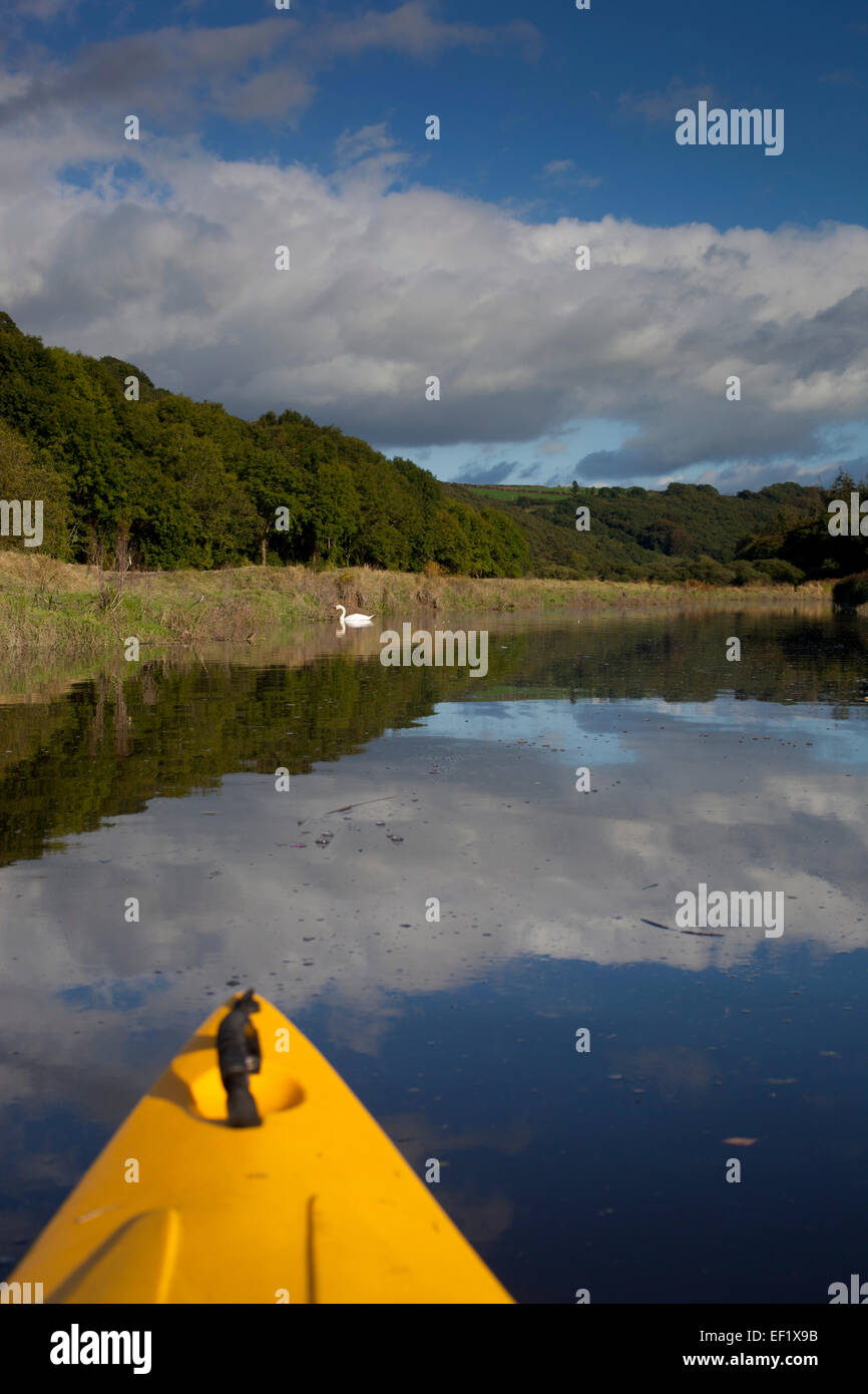 River Camel From a Kayak Wadebridge Cornwall; UK Stock Photo - Alamy
