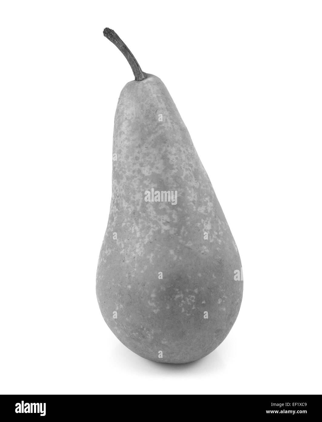 Conference pear standing upright, isolated on a white background ...