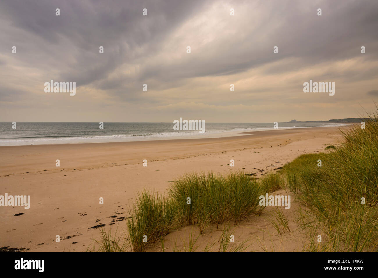 Ross Sands, Northumberland, England Stock Photo - Alamy