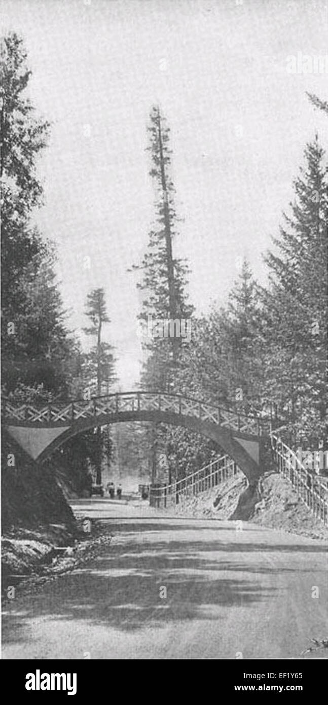 An image of the HCRH Bridge, showcasing its structural design and role ...