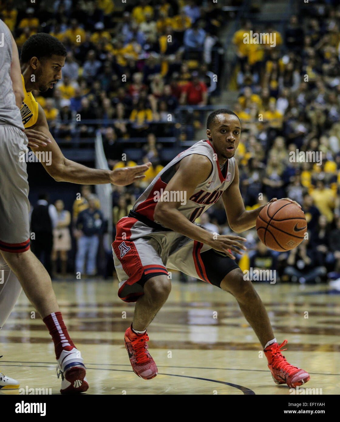 Berkeley USA CA. 24th Jan, 2015. Arizona G # 0 Parker Jackson ...