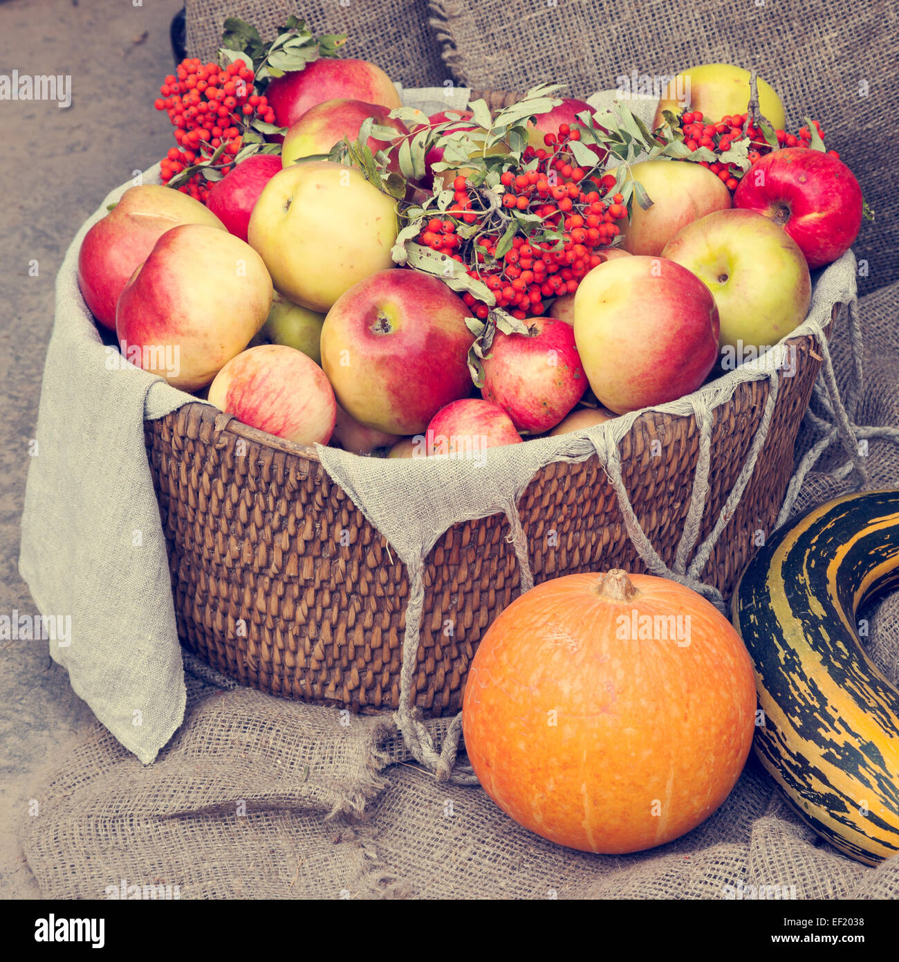 Pumpkin apples in basket hi-res stock photography and images - Alamy