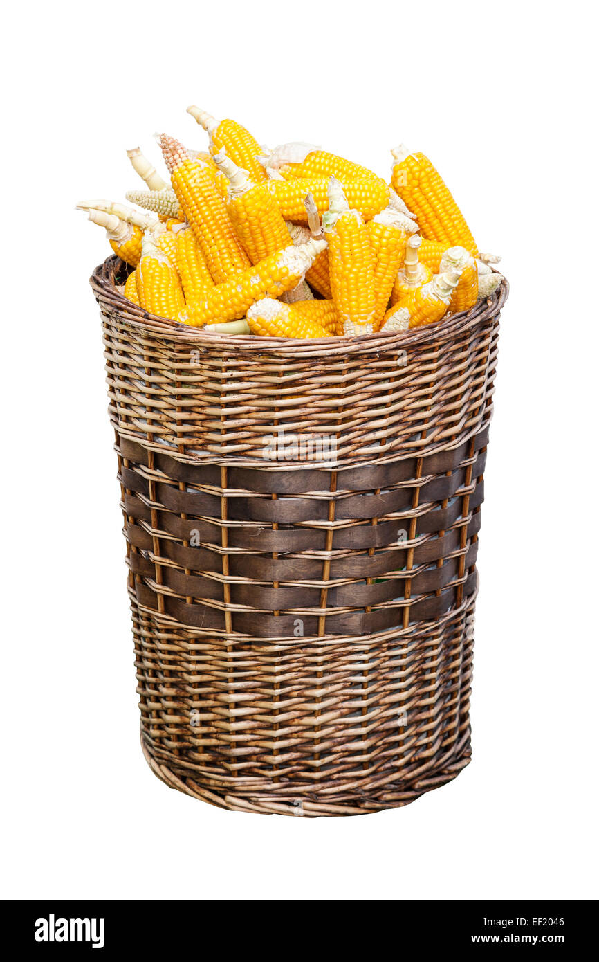 Ripe corn cob in hi-res stock photography and images - Alamy