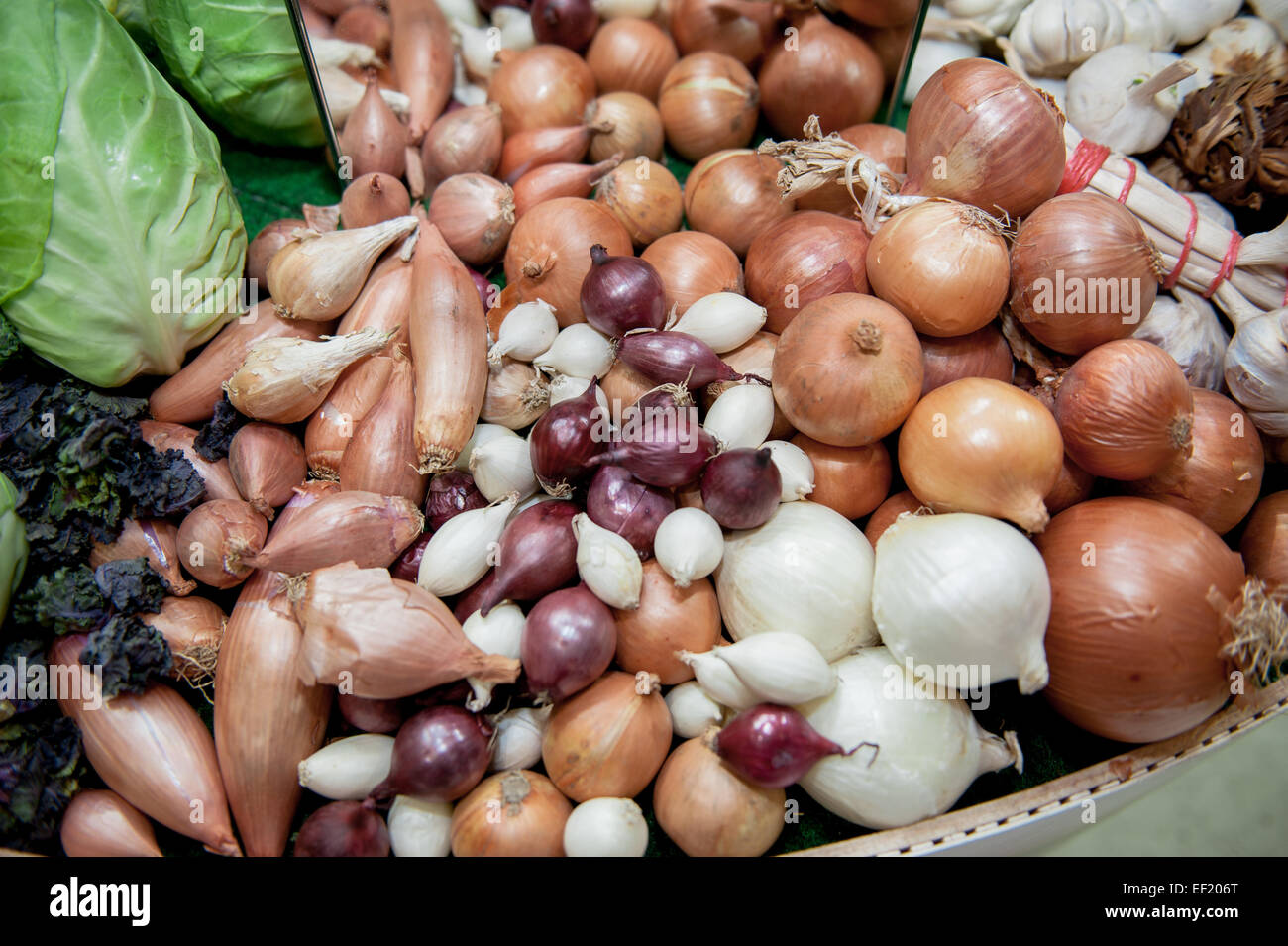 Berlin, Germany. 23rd Jan, 2015. Different varieties of garlic at ...