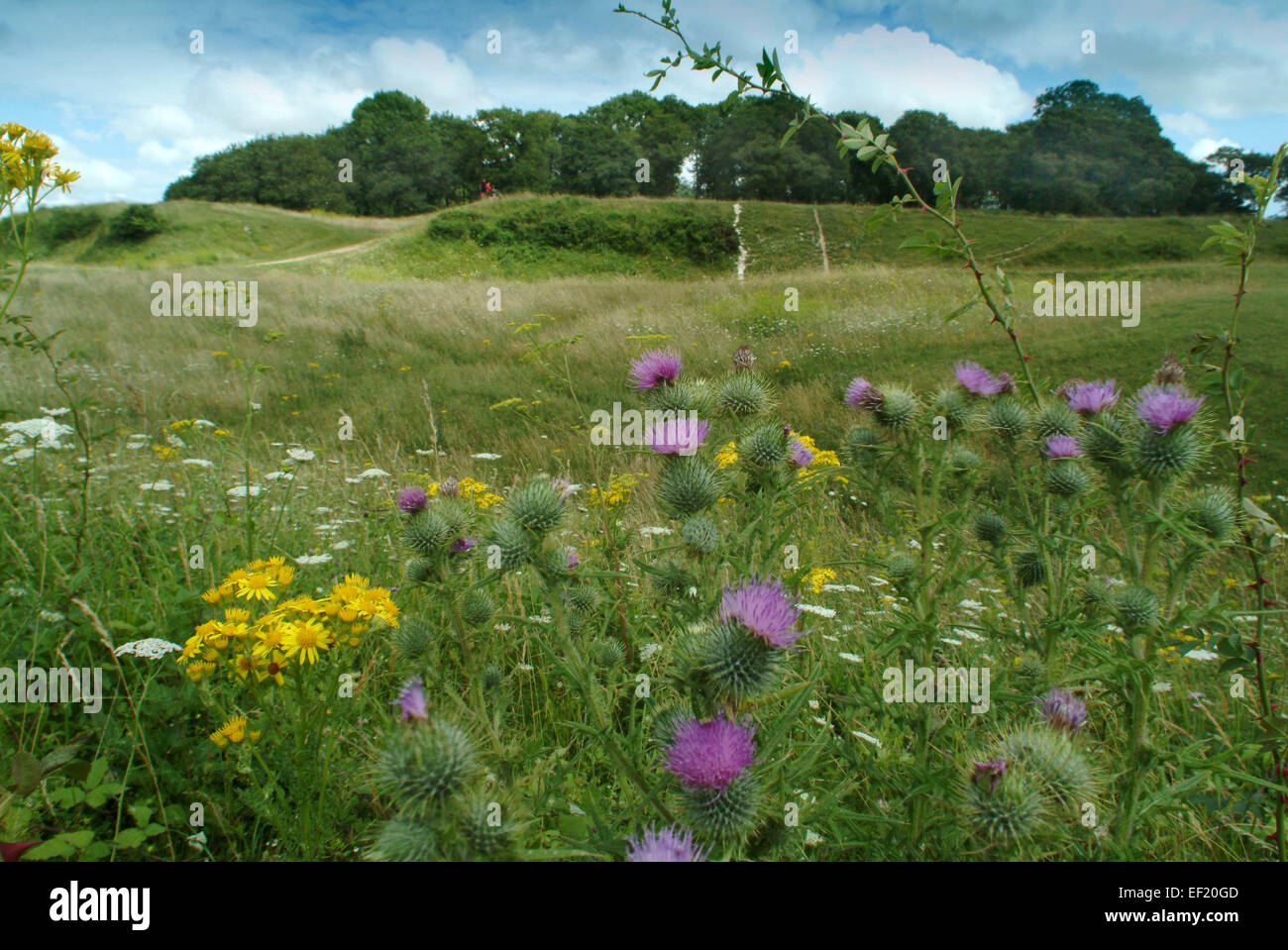 Iron age rings hi-res stock photography and images - Alamy