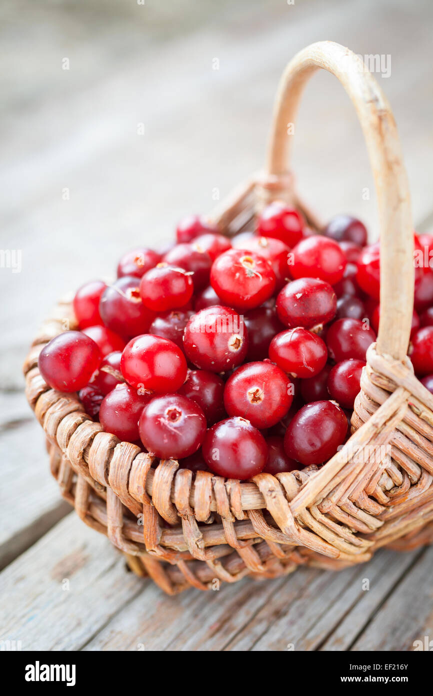 Baskets of cranberries hi-res stock photography and images - Alamy