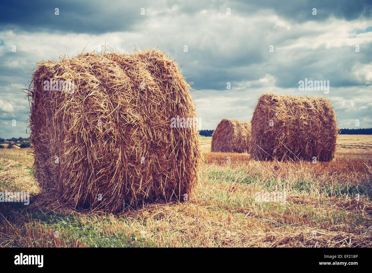 Straw bales hay in stubble hi-res stock photography and images - Alamy