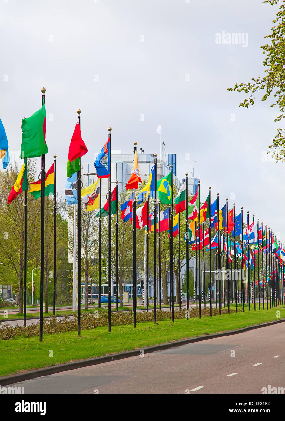 United Nations offices in Hague, Netherlands Stock Photo - Alamy