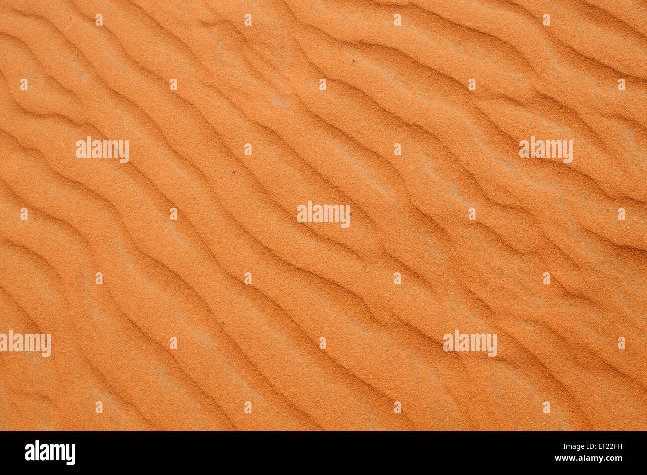 Red sand "Arabian desert" near Riyadh, Saudi Arabia Stock Photo - Alamy