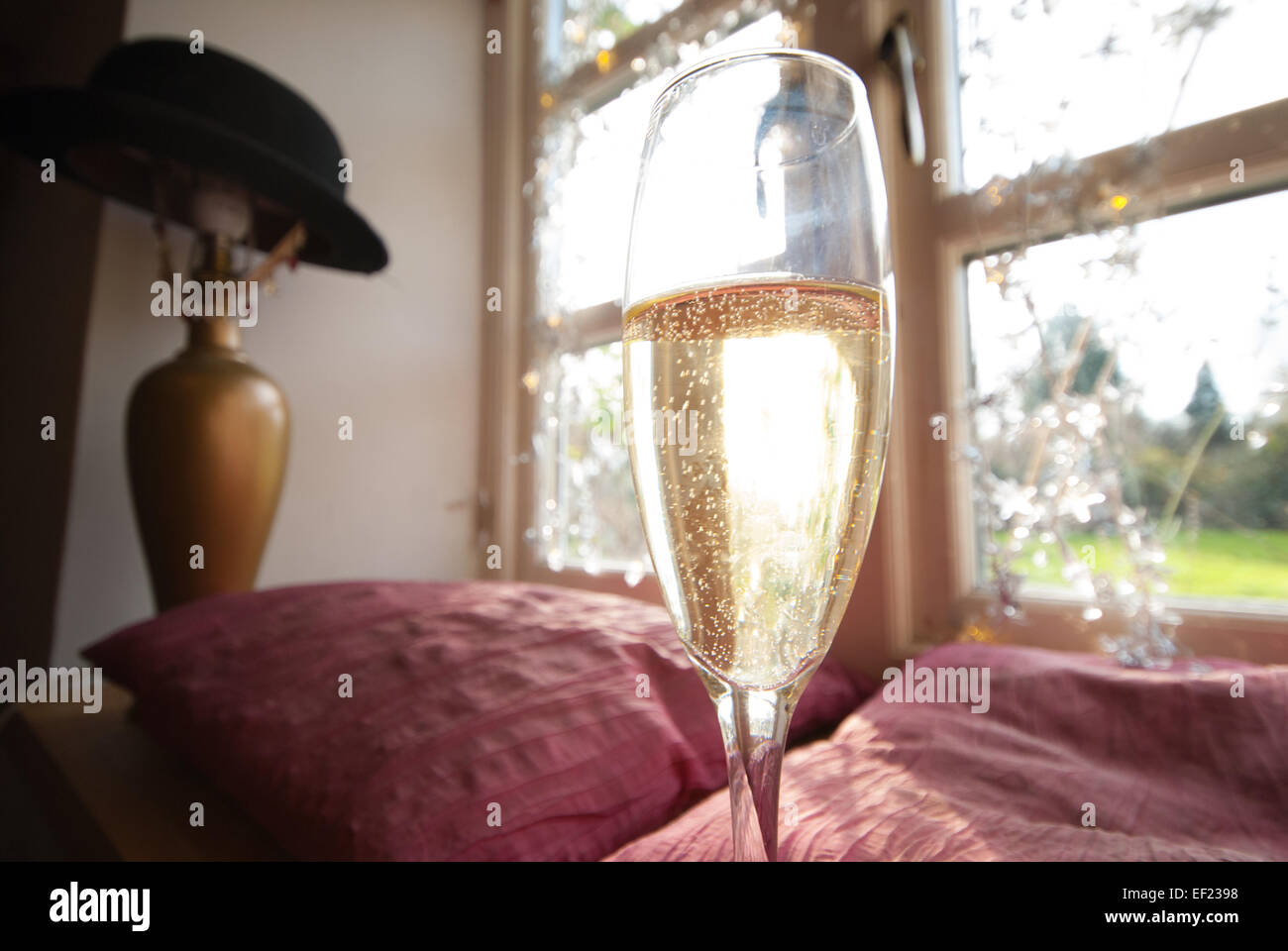 A glass of champagne beside a window in a sunbeam, with Christmas ...