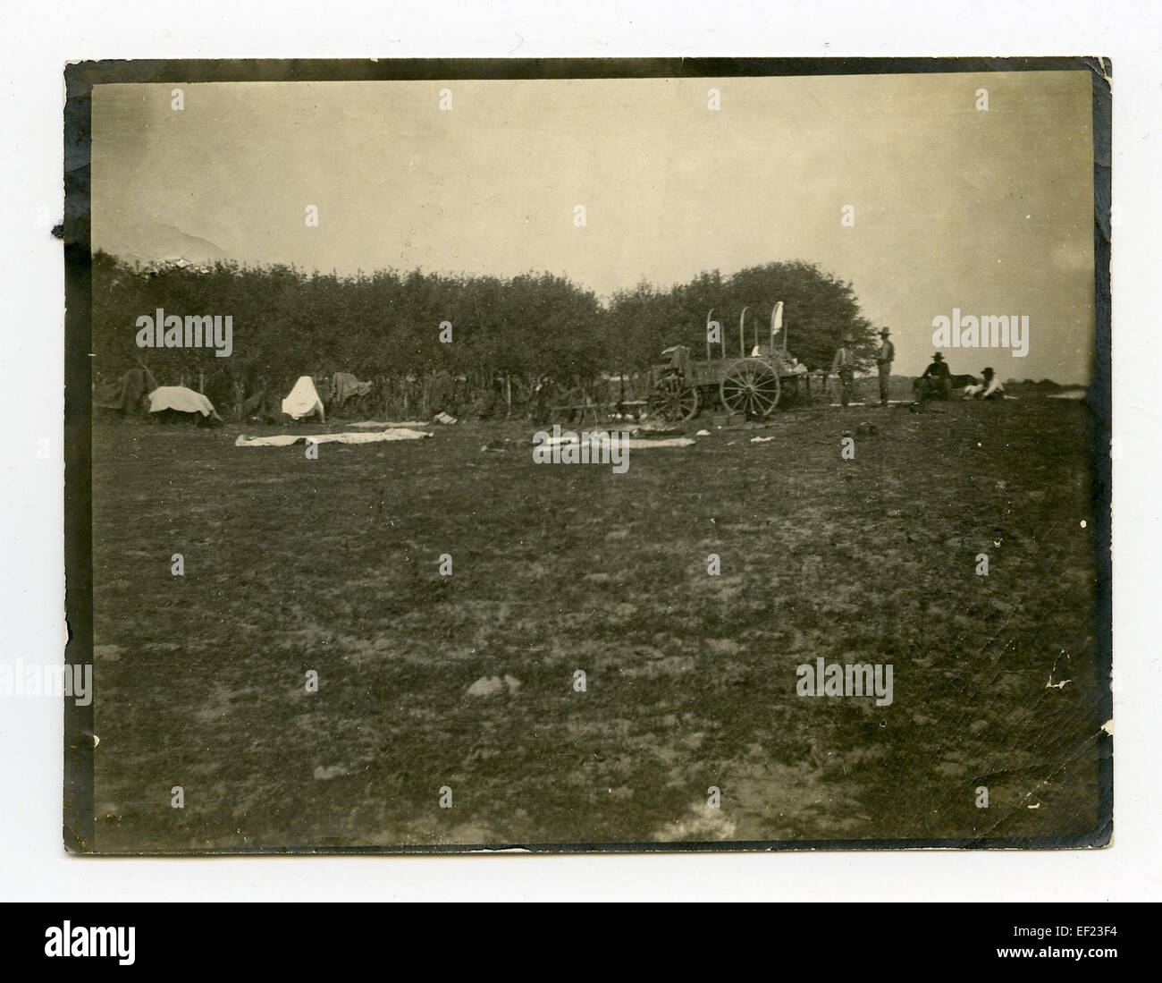 Texas rangers law enforcement hi-res stock photography and images - Alamy