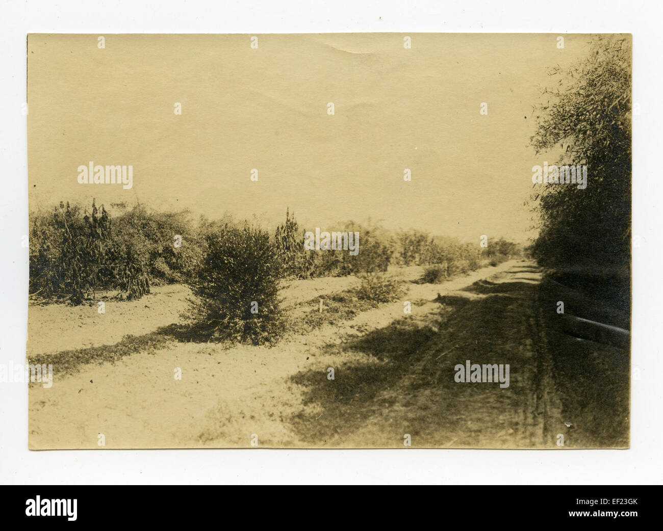 American military aesthetic hi-res stock photography and images - Alamy