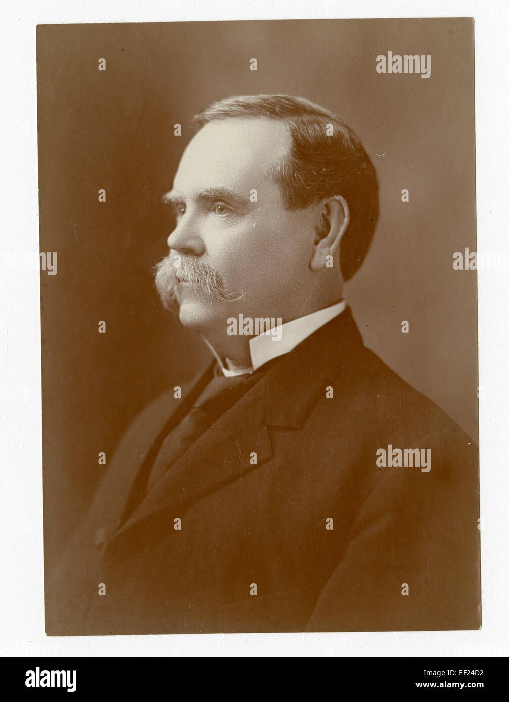 Tarus hi-res stock photography and images - Alamy