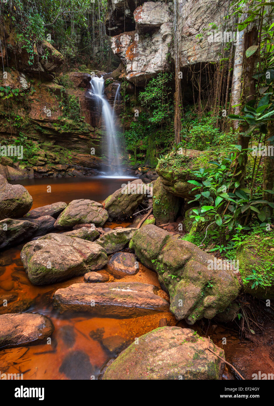 Rainforest waterfall, Venezuela Stock Photo - Alamy