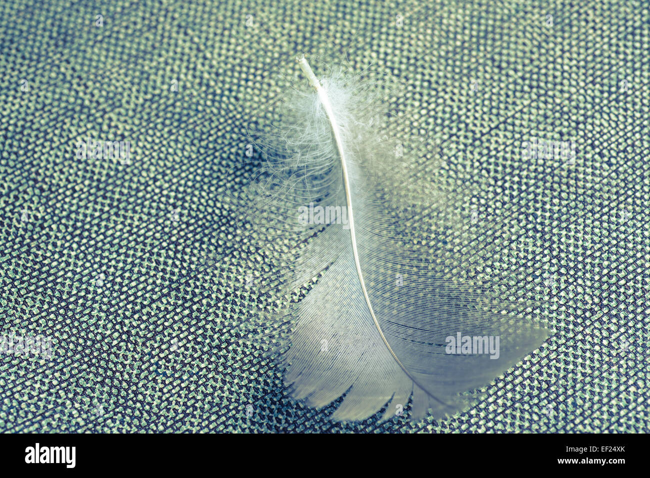 But still feather light hi-res stock photography and images - Alamy
