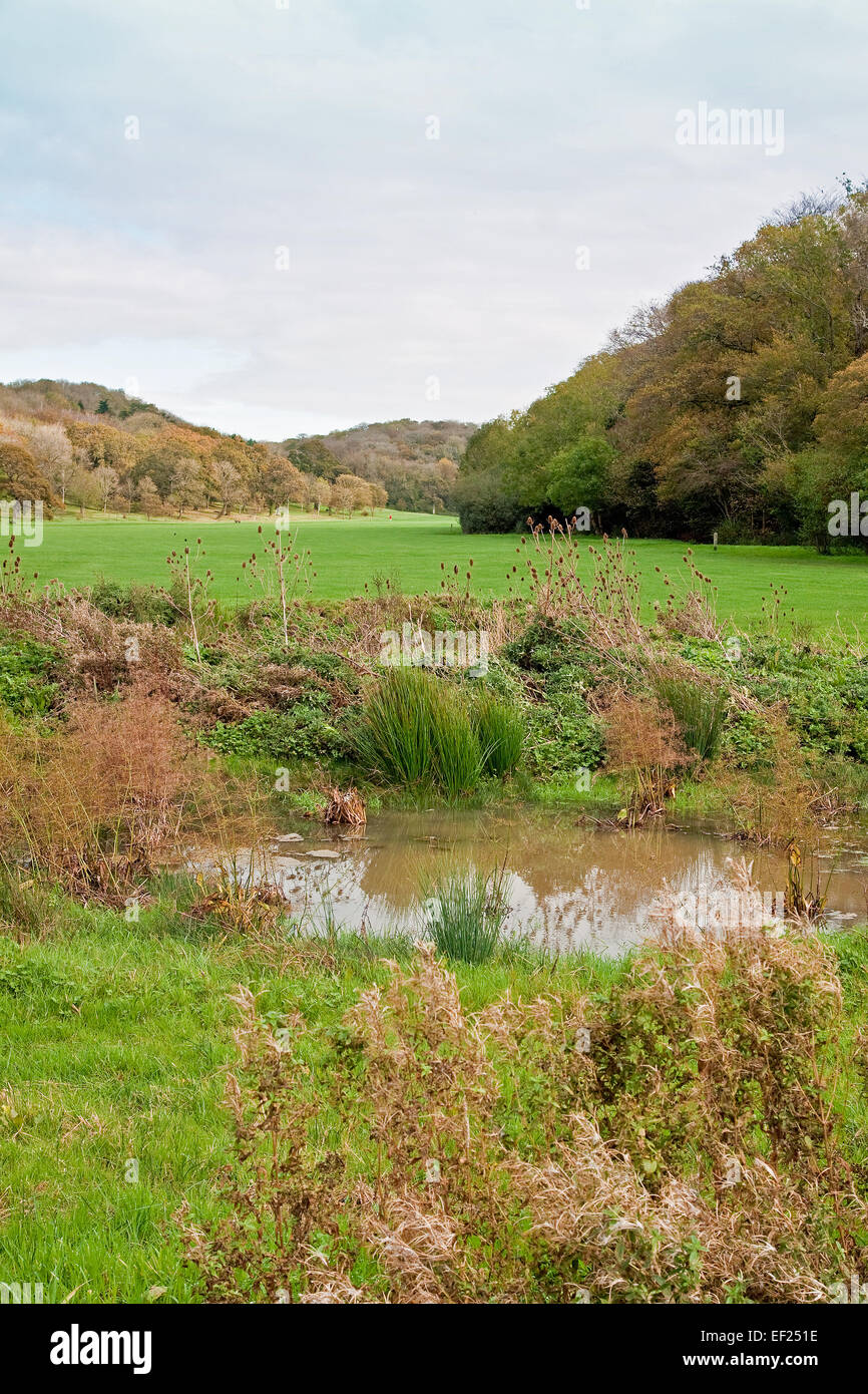 Autumn scene in Porthkerry Country Park, Barry, Vale of Glamorgan ...