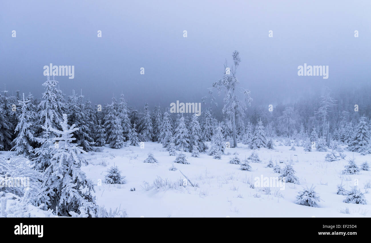 Jesenik hi-res stock photography and images - Alamy