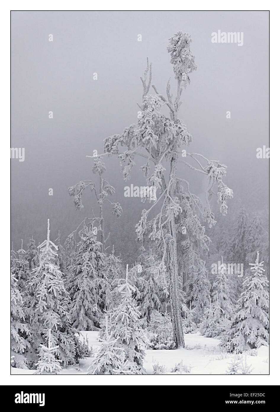 Jesenik High Resolution Stock Photography and Images - Alamy