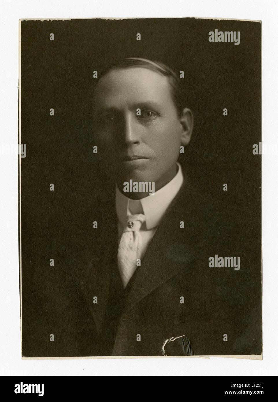 Notable contributions Cut Out Stock Images & Pictures - Alamy