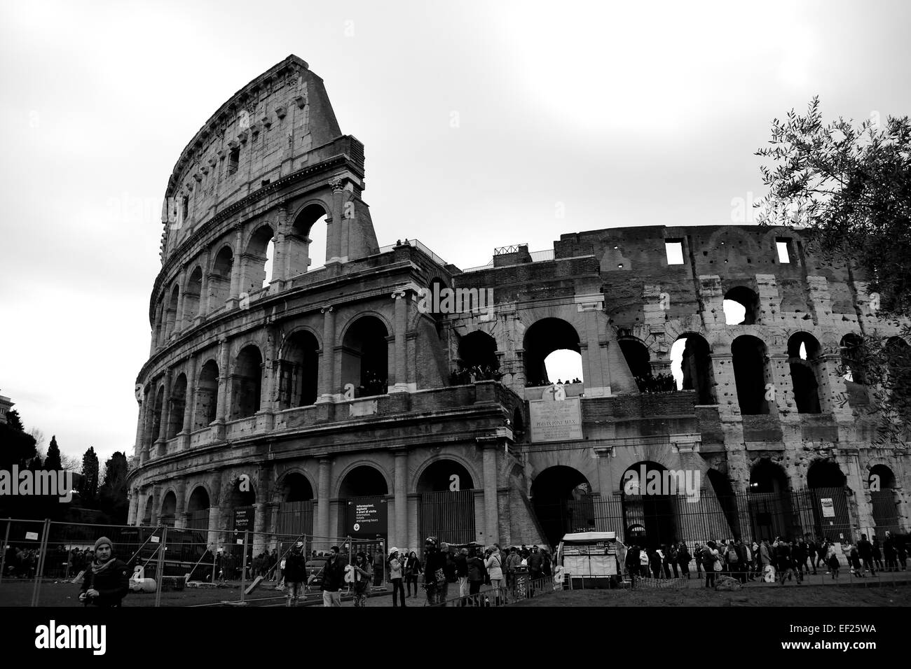 Colosseum rome close up hi-res stock photography and images - Alamy