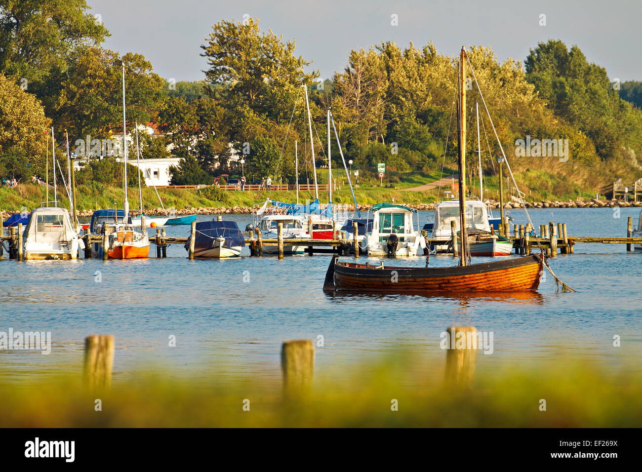 The port of Rerik (Germany Stock Photo - Alamy