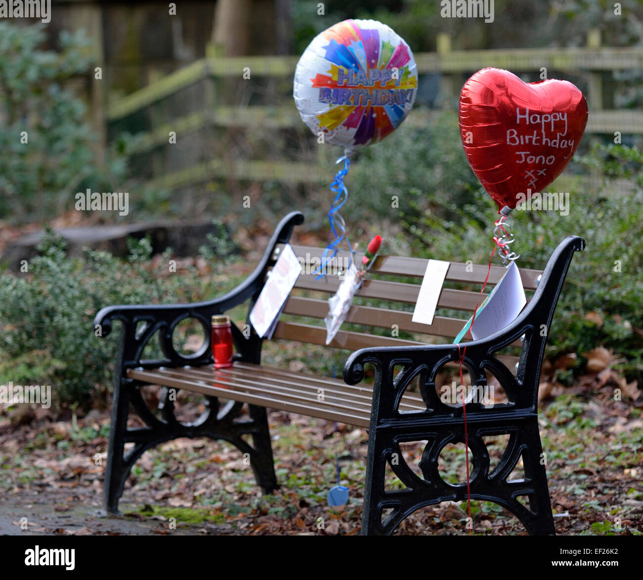 Happy birthday seat bench park hi-res stock photography and images - Alamy