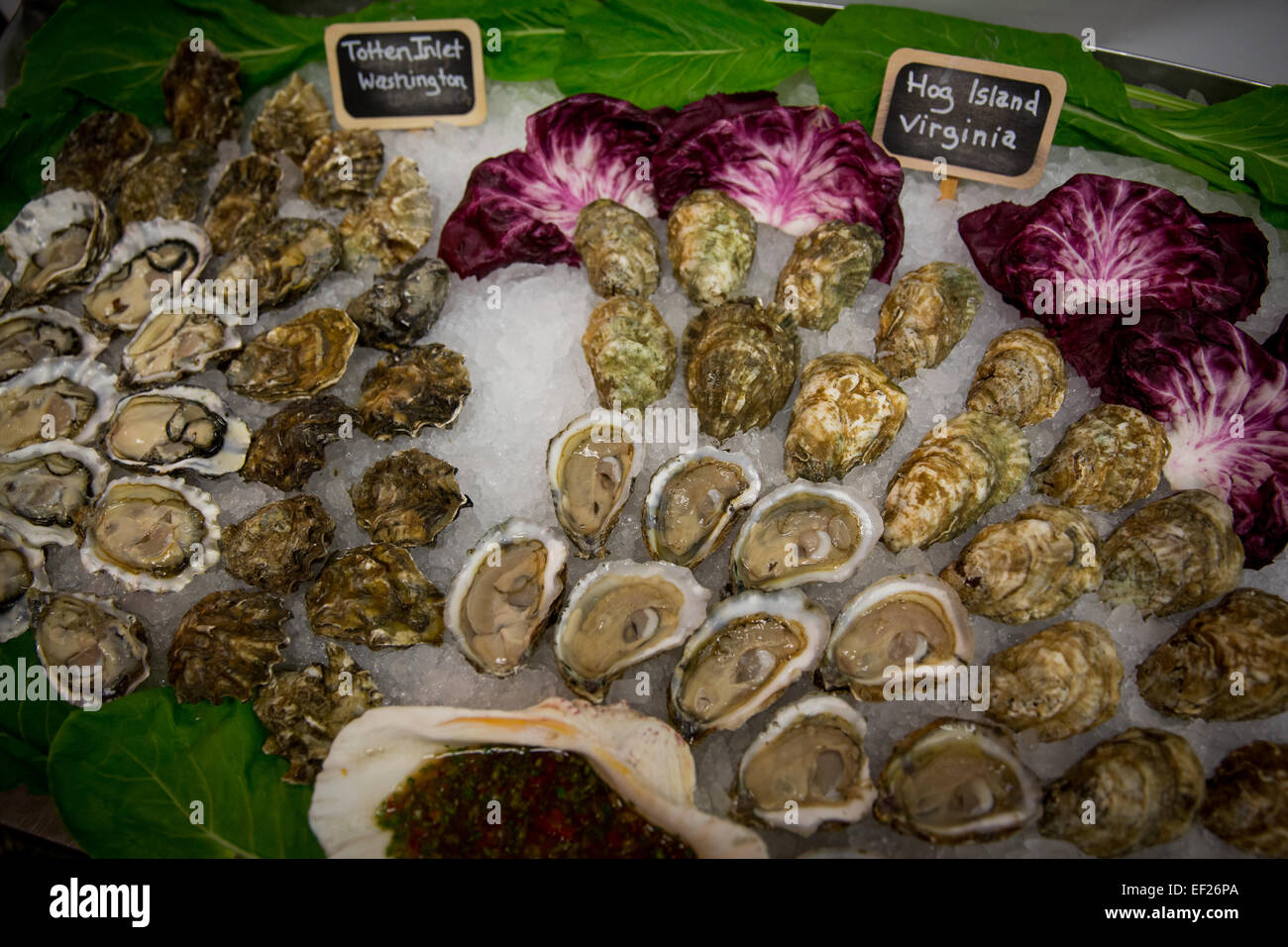 The raw bar with (l to r) Totten Inlet, Hog Island and Cortes oysters ...