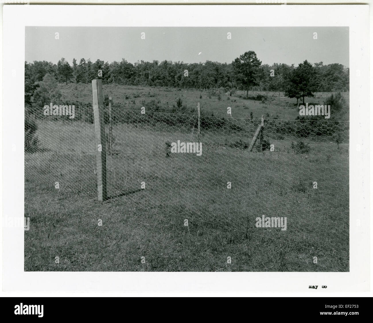 Clarke County in Mississippi is shown in this historical image. The ...