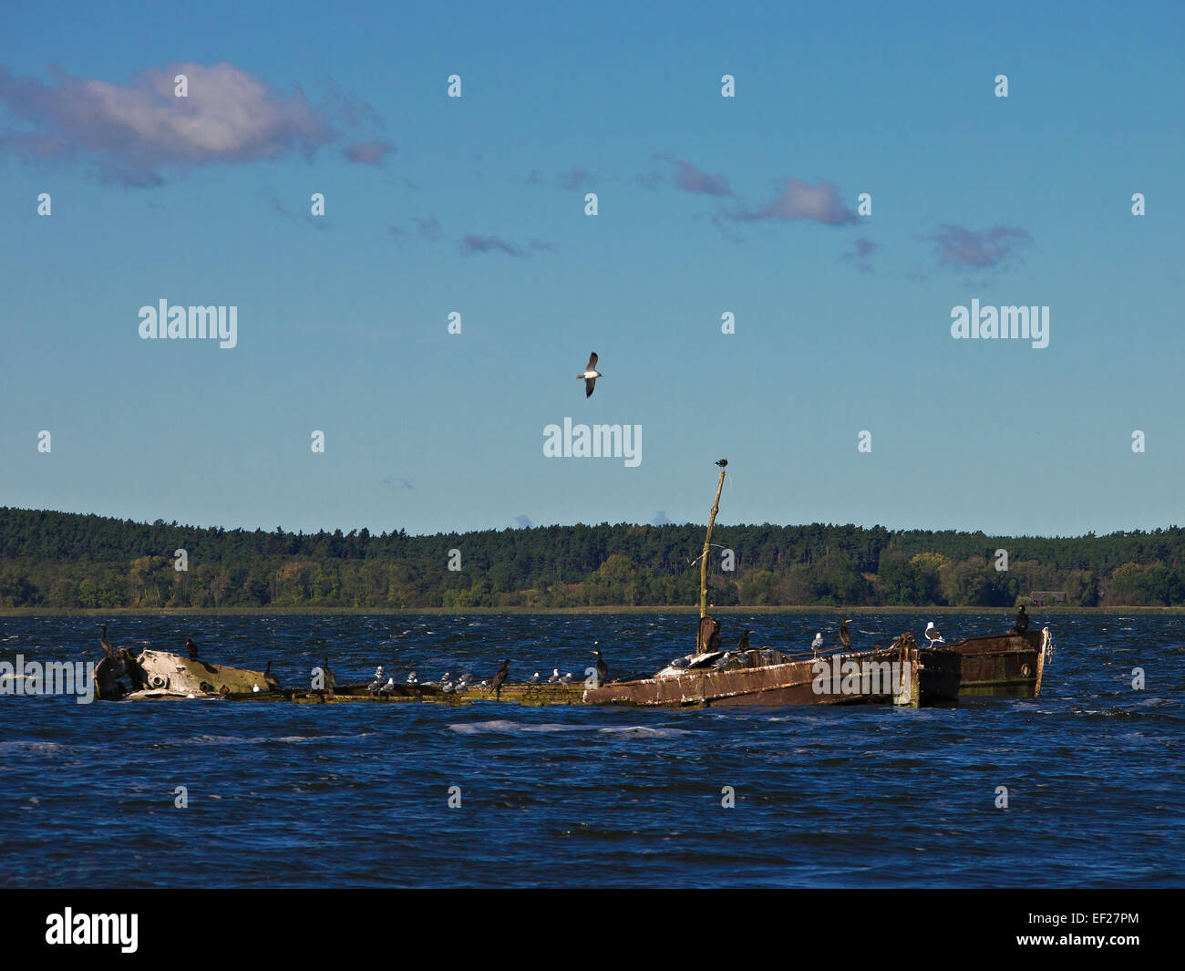 Warthe lake hi-res stock photography and images - Alamy
