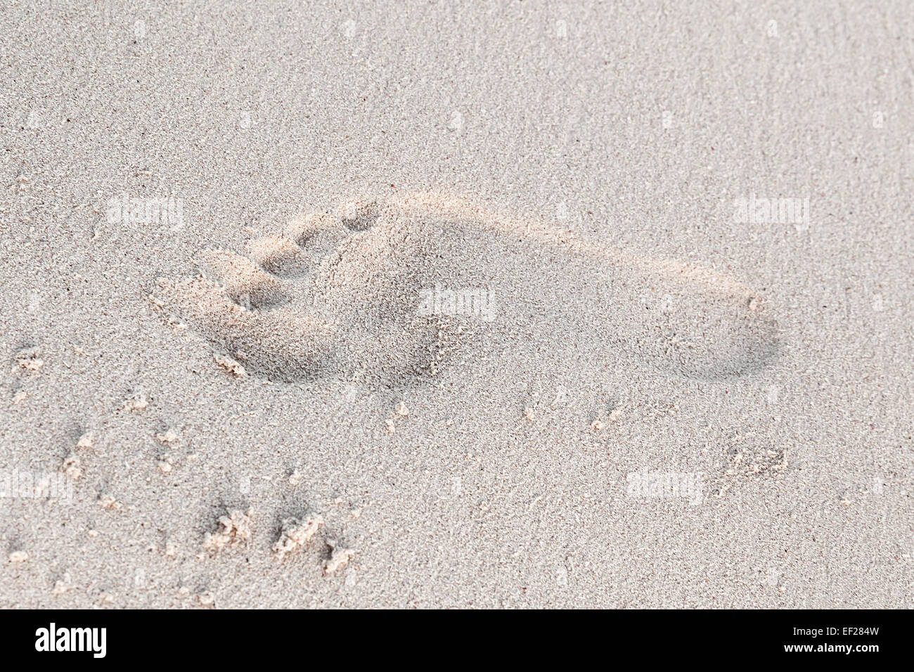 One footprint in white coastal sand on the beach Stock Photo - Alamy
