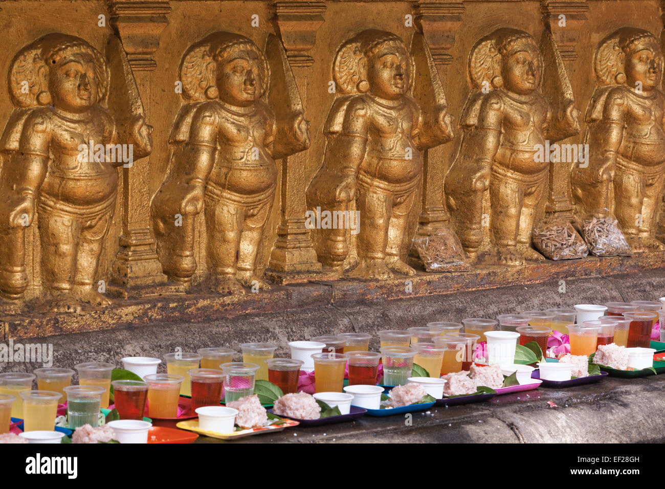 Offerings around the base of the sacred Bodhi tree at the Buddhist ...