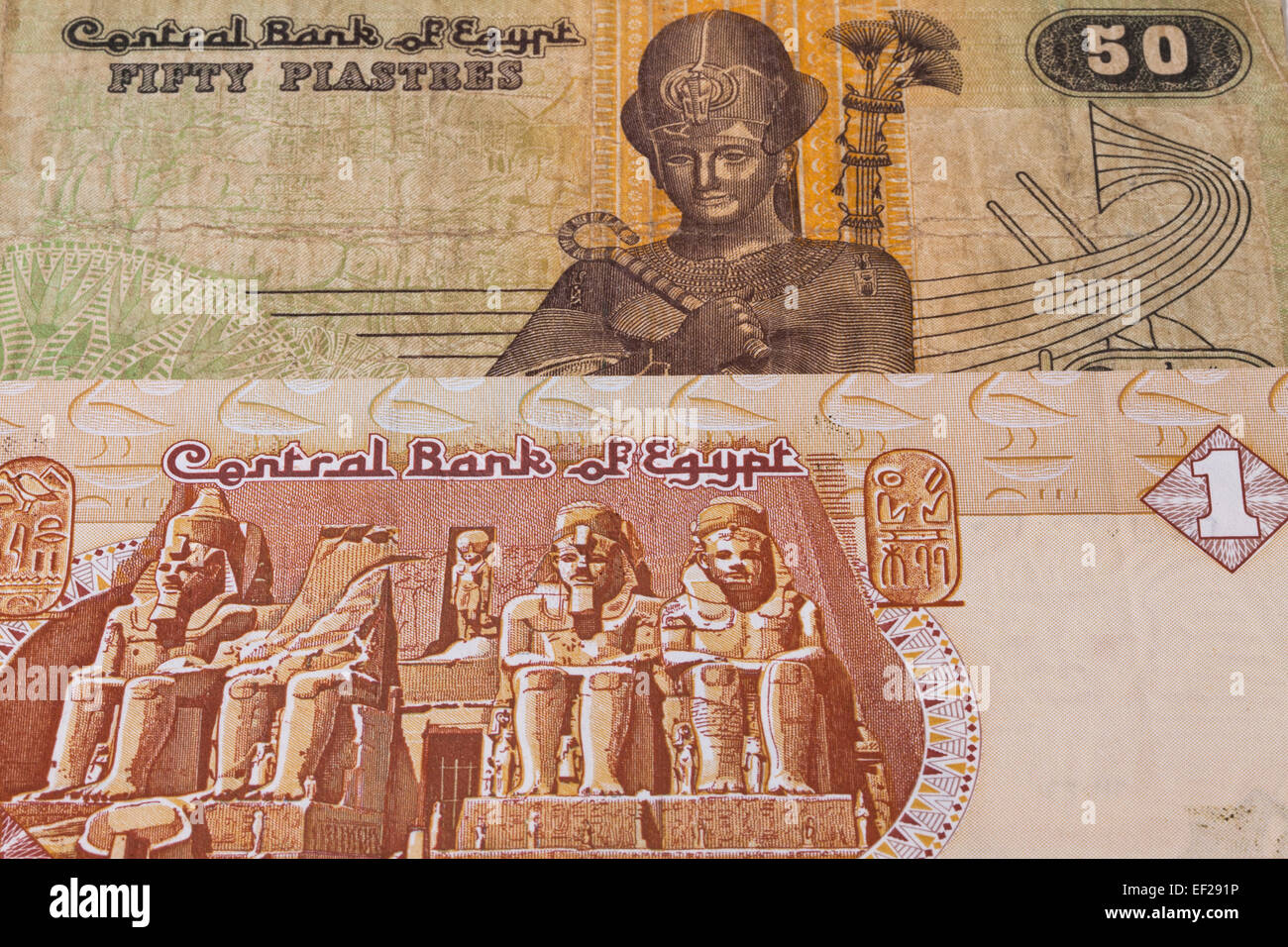 Different Egyptian banknotes on the table Stock Photo - Alamy