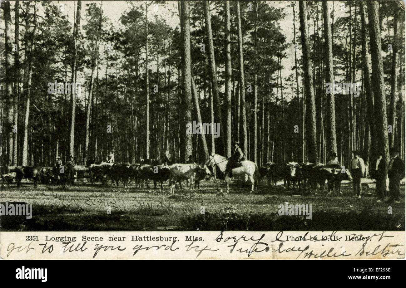 This image shows a logging scene near Hattiesburg, Mississippi ...