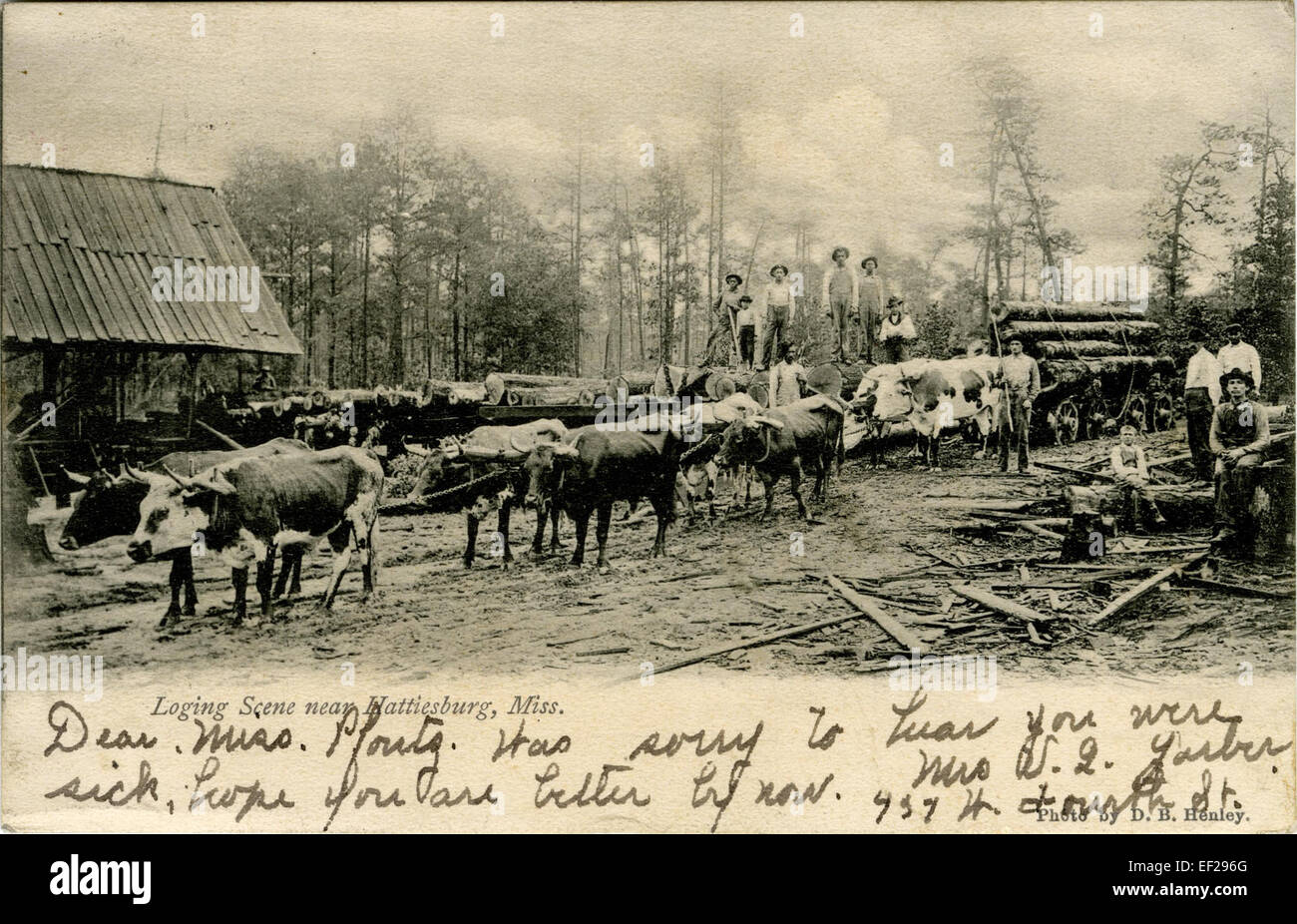 A logging scene near Hattiesburg, Mississippi, depicting the timber ...