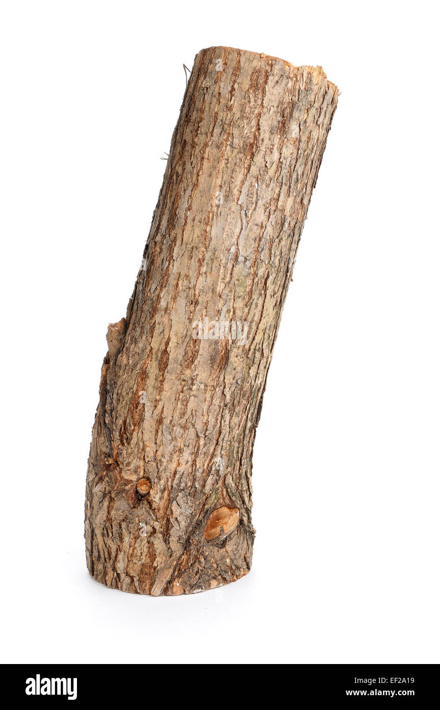 one willow log isolated over white background Stock Photo - Alamy