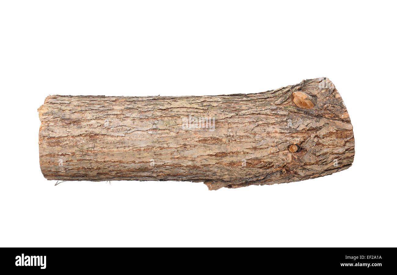 one willow log isolated over white background Stock Photo - Alamy