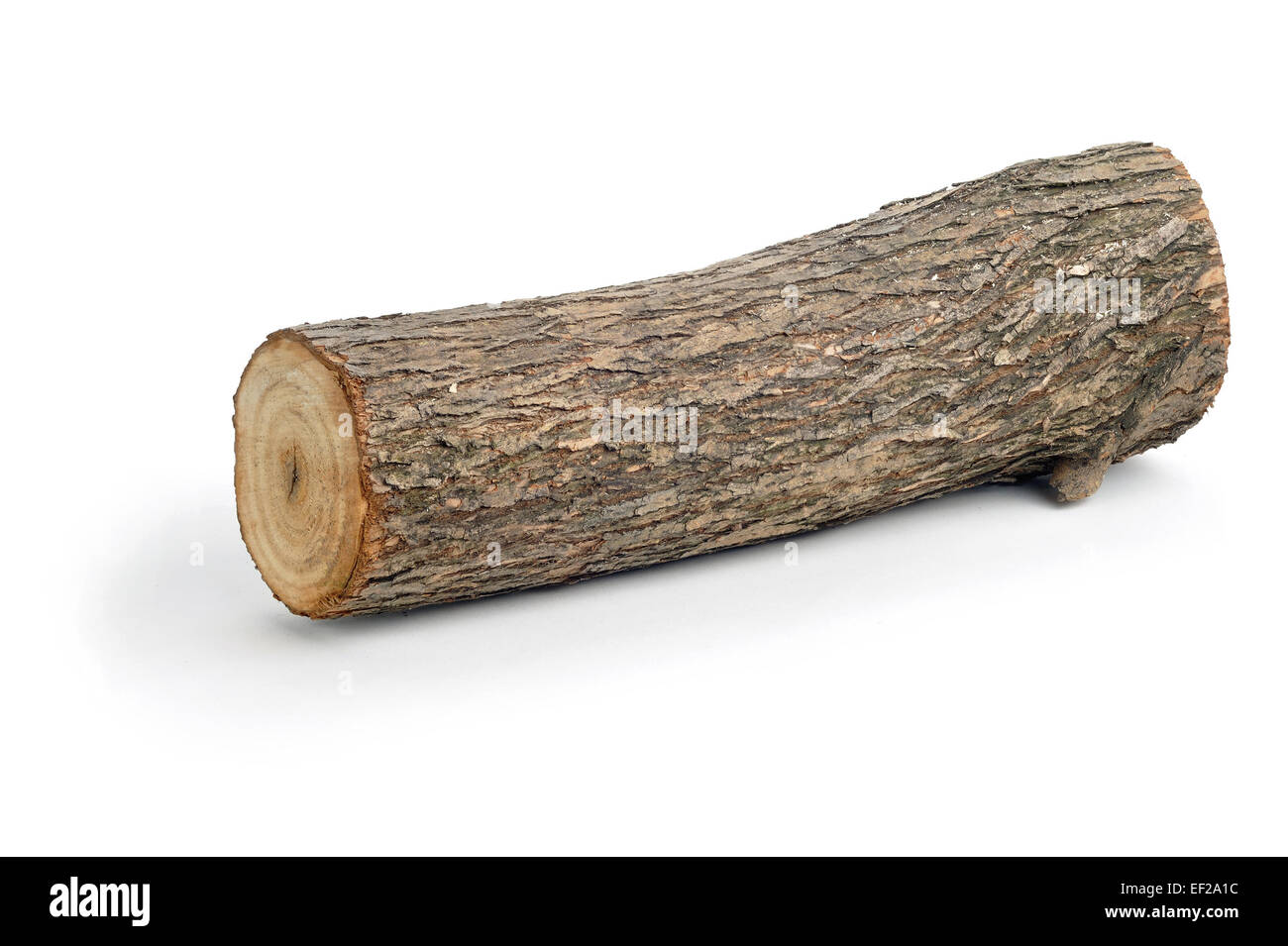 one willow log isolated over white background Stock Photo - Alamy